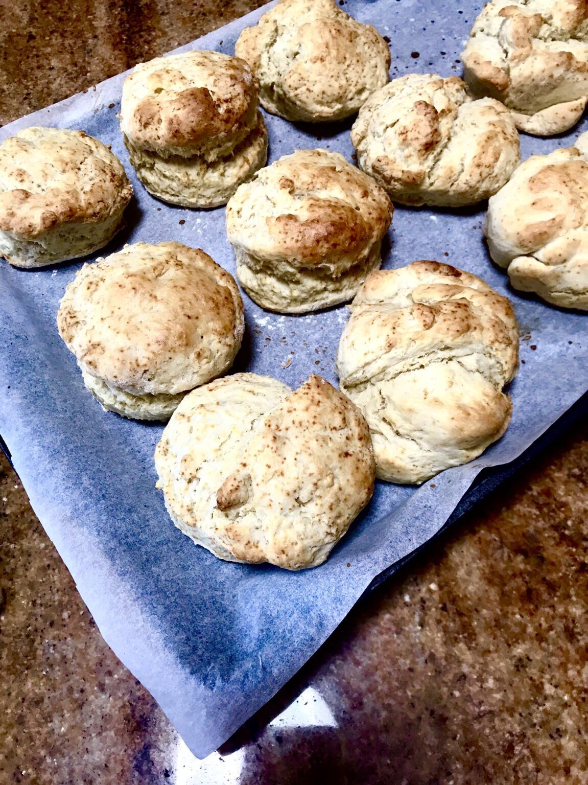 All-Butter Scones You’ll Want to Bake Again and Again - THE PARTY TOAD